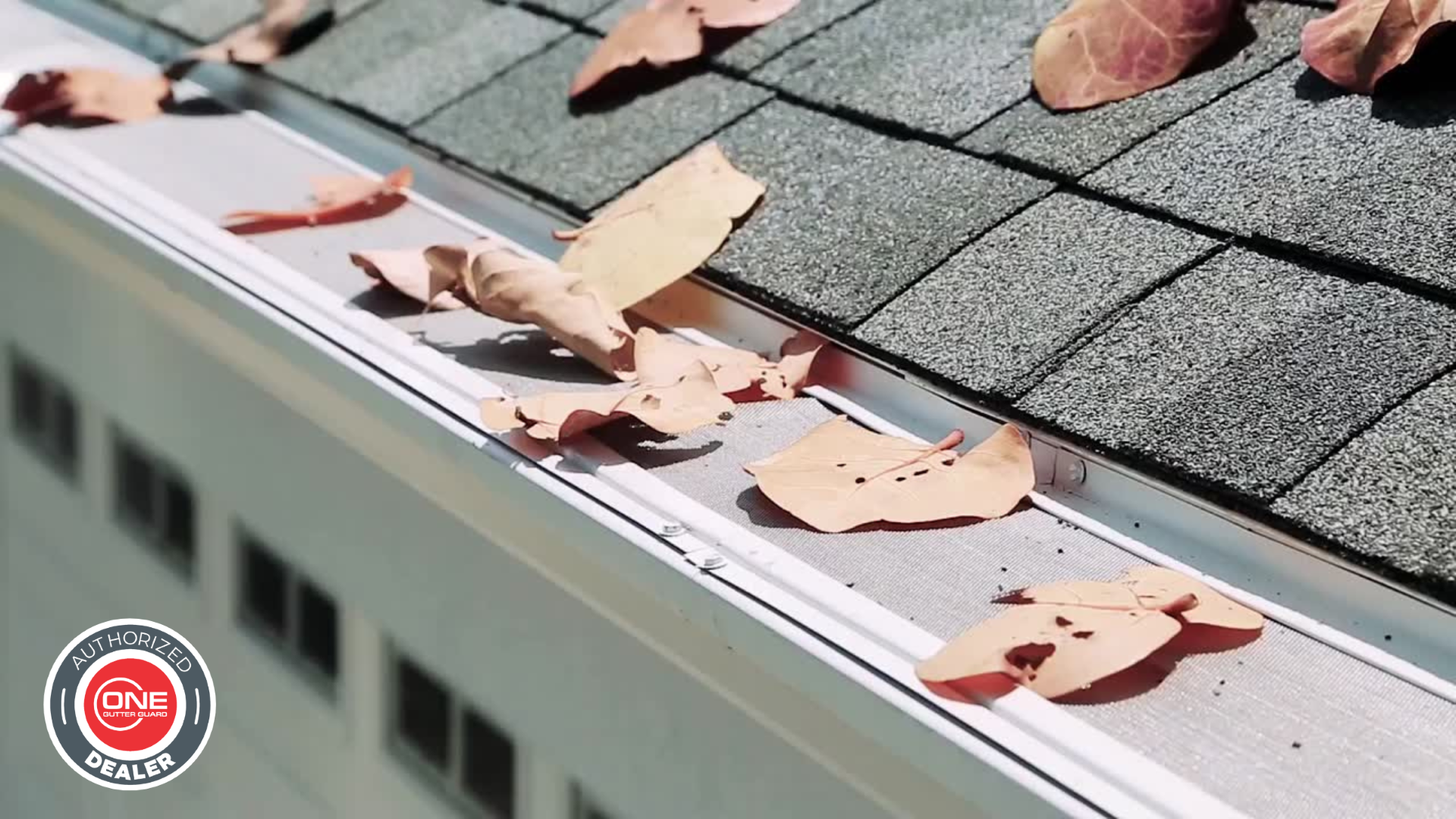 Gutter Protection That Works — No Exceptions